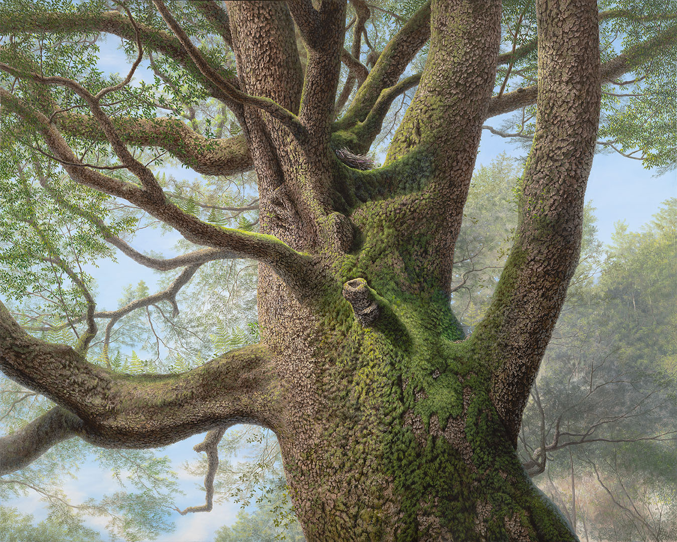 巢 Nest – ART TAIPEI OVR 台北國際藝術博覽會線上展廳